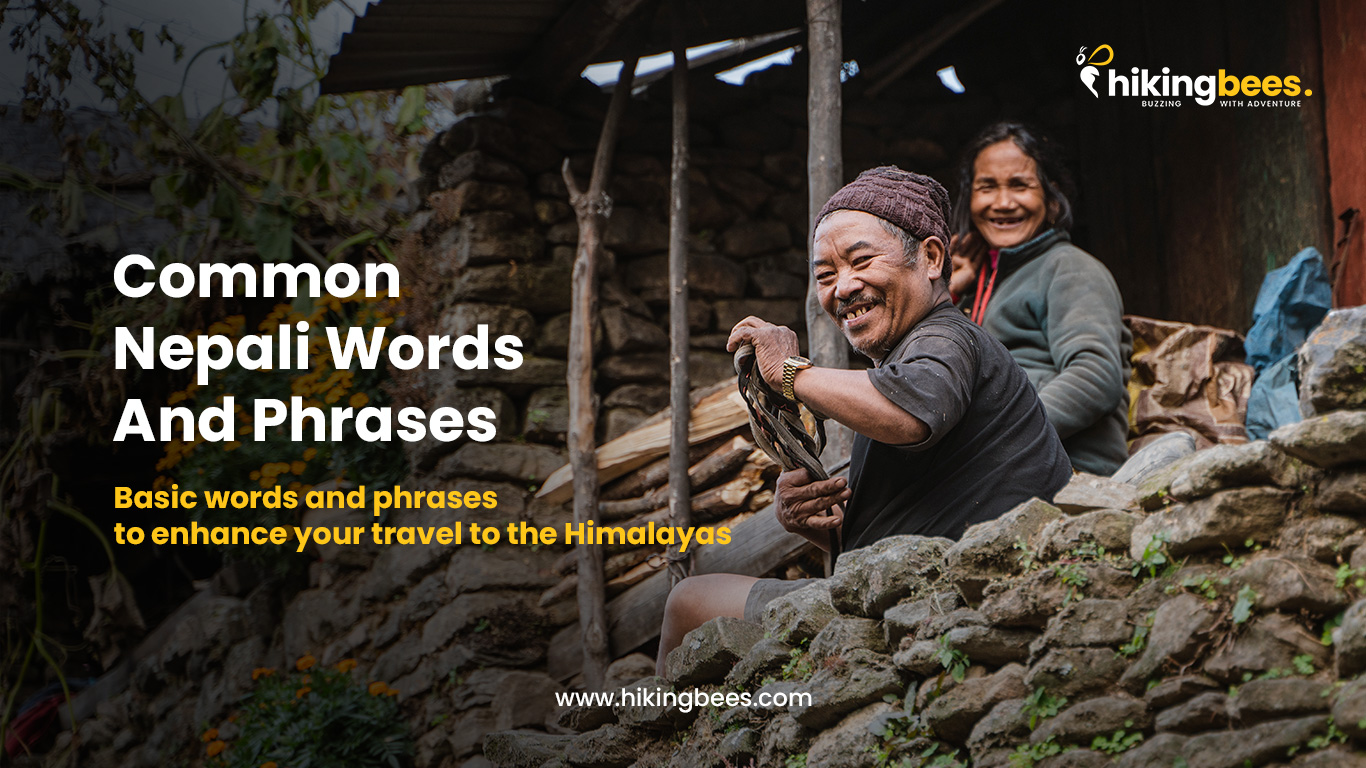 Common Nepali words and Phrases
